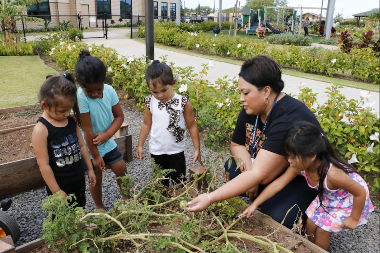 Community Learning Center at Ma’ili | Kamehameha Schools