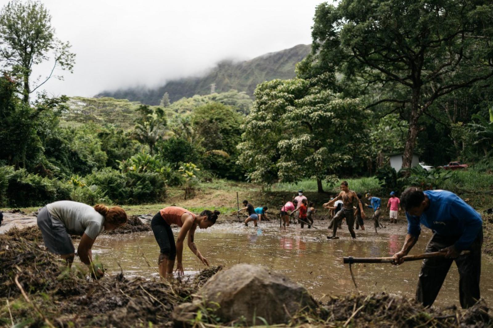 Kaulu Huakaʻi Kauwela | Kamehameha Schools